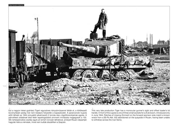 Tiger I on the Battlefield (Vol.7) by Chris Brown - Panzerwrecks